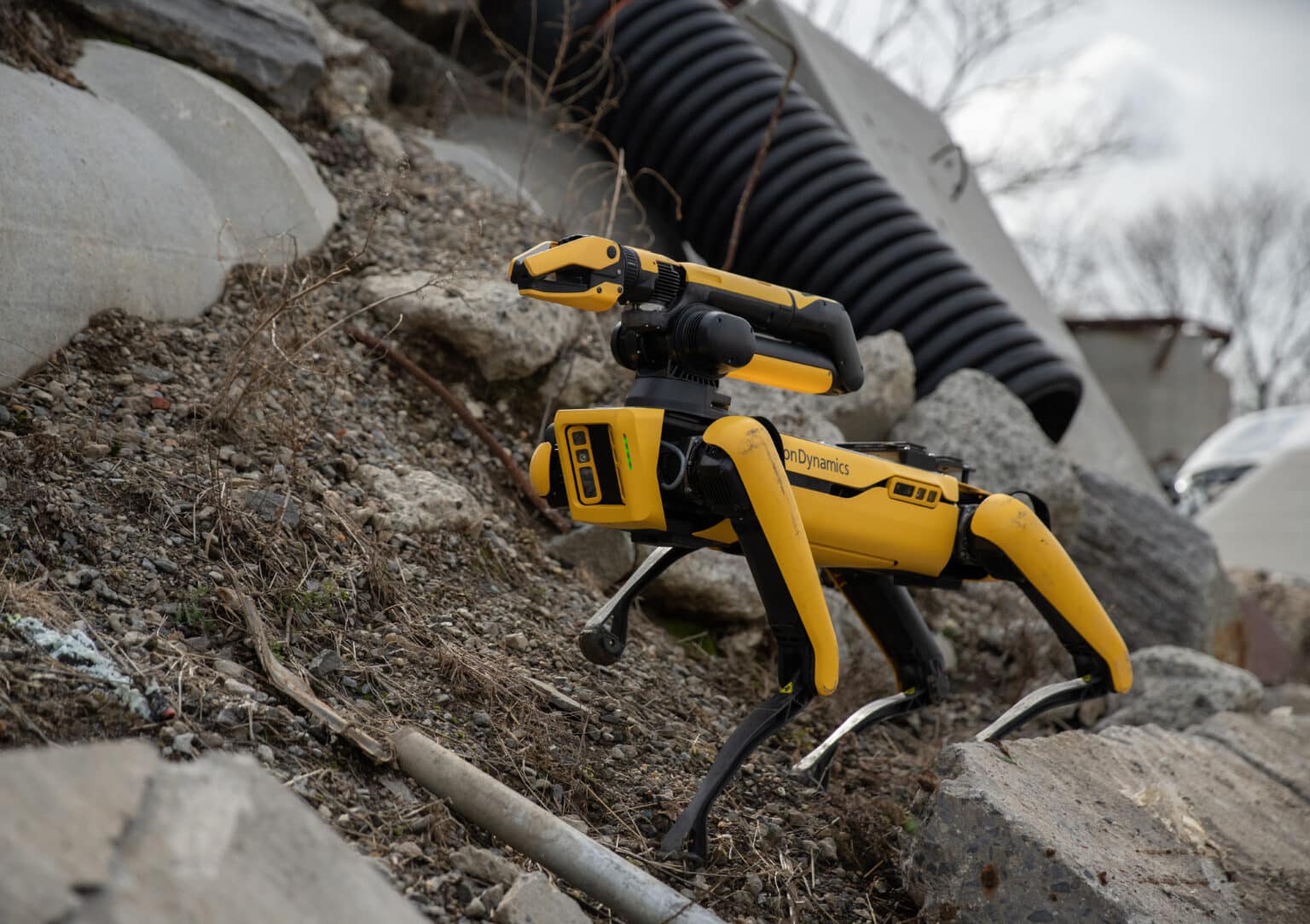 Starting on the Right Foot with Reinforcement Learning | Boston Dynamics